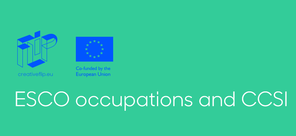Occupational breakdown of the CCSI